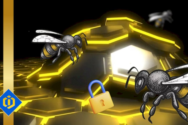 What Can Hackers Learn from Bees? - Coins International Journal: Latest ...