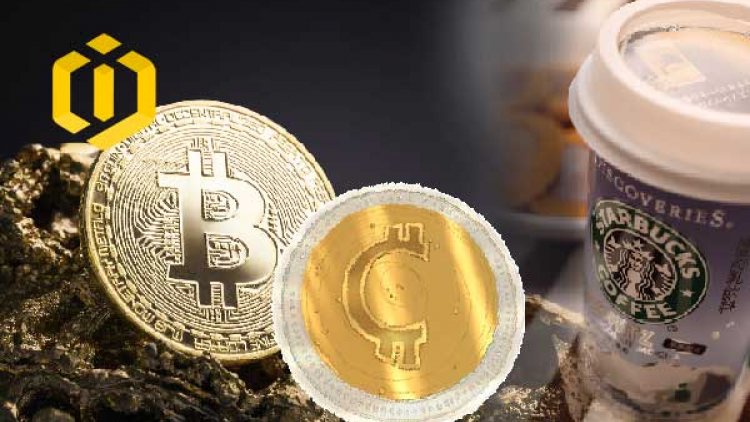 Does Starbucks Accept Bitcoin Payments? - Coins International Journal ...