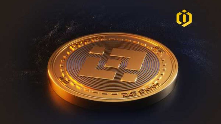 What is the Next Bitcoin in the World of Cryptocurrencies? - Coins ...